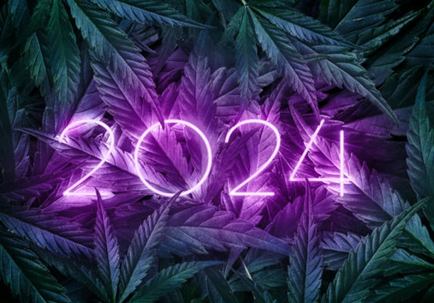 Bring In 2024 At The Dazed Cannabis New Year's Eve Ball – Dazedcanna